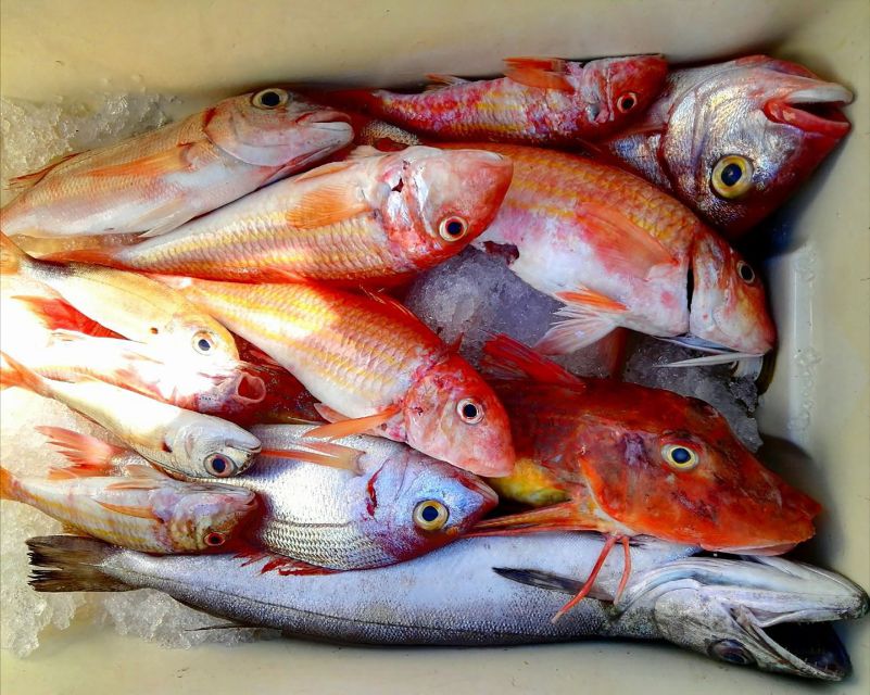 From Sorrento: Fishing in Capri with Lunch - Who Will Enjoy This Tour?