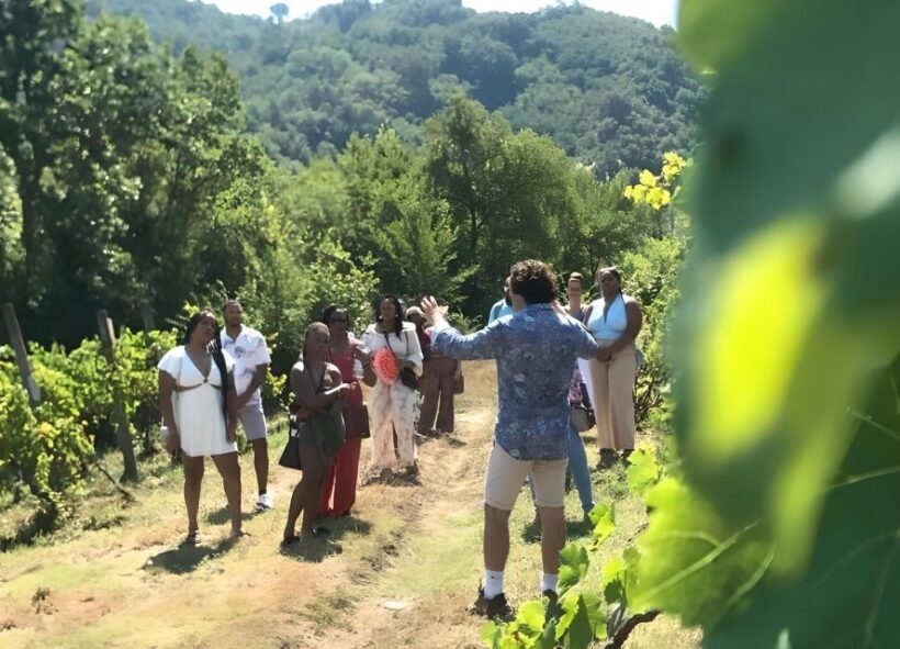 From Sorrento & Naples: Cortecorbo Wine & Cooking Experience - Practical Details: Timing, Transportation, and Cost