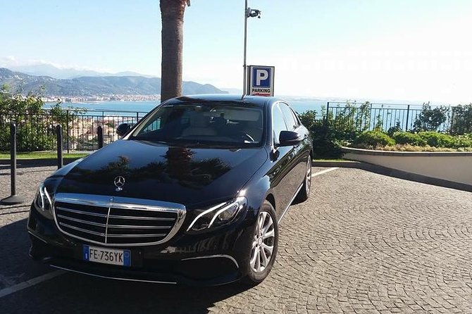 From Sorrento: Paestum and Buffalo Mozzarella Farm Tour - FAQ