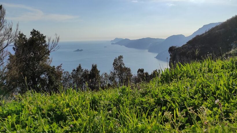 From Sorrento: Path of the Gods Hike with Tasting Stop - The Practical Aspects and How They Affect Your Trip