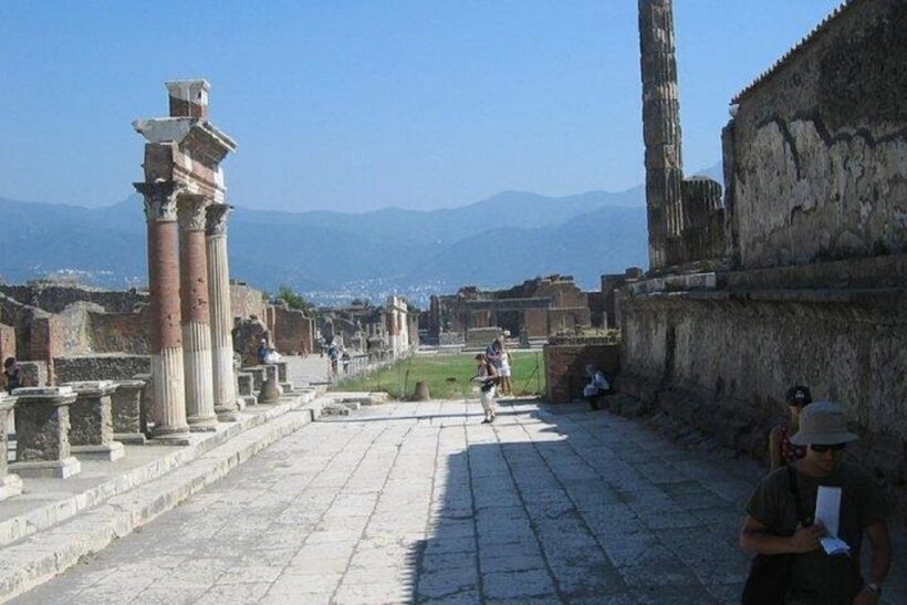 From Sorrento: Pompeii and Mount Vesuvius Tour - Key Points
