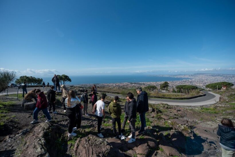 From Sorrento: Pompeii and Vesuvius Guided Tour with Lunch - Who Will Love This Tour?