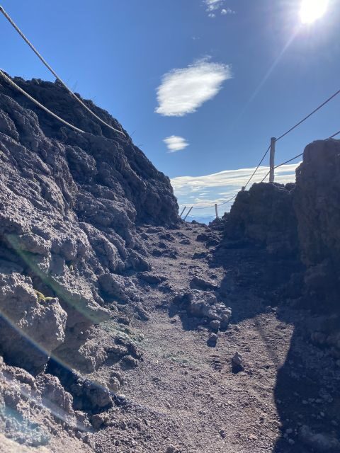 From Sorrento: Pompeii and Vesuvius Skip-the-Line Tour - Introduction: What You’ll Get from This Tour