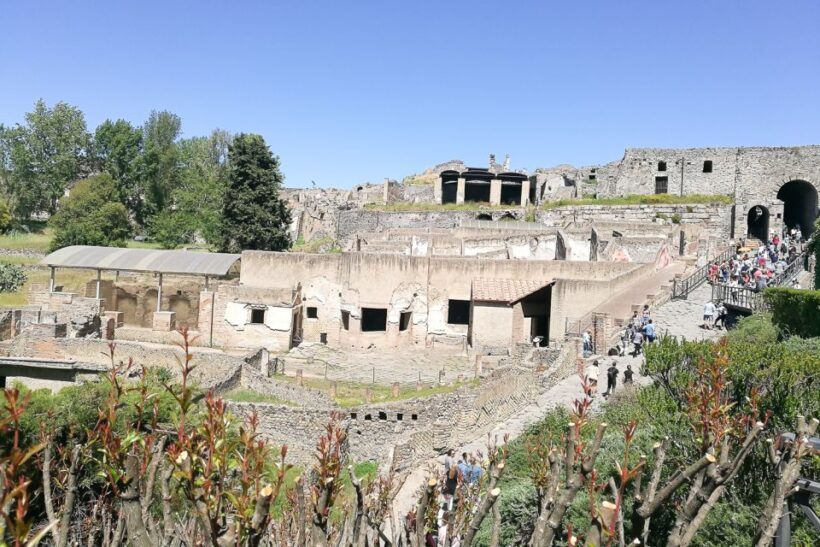 From Sorrento: Pompeii and Vesuvius Tour - Authentic Experiences and Real Feedback