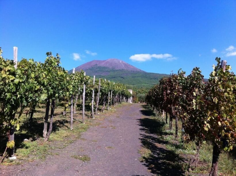 From Sorrento: Pompeii & Mount Vesuvius Winery Private Tour - Practical Considerations
