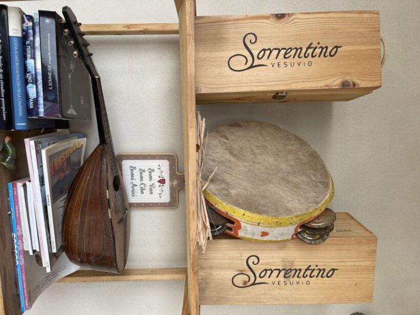 From Sorrento: Pompeii & Wine Tasting Private Tour by car - Who Will Enjoy This Tour?