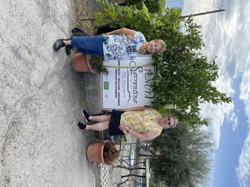 From Sorrento: Pompeii & Wine Tasting Private Tour by car - FAQs