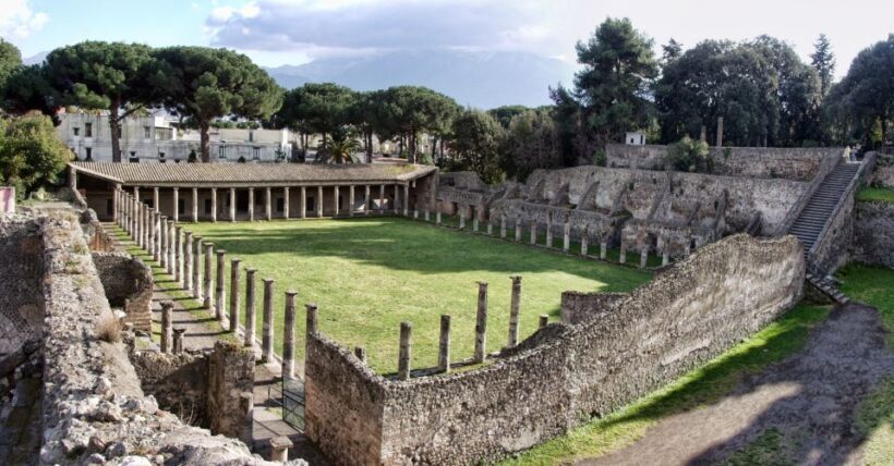 From Sorrento: Skip-the-Line Pompeii Tour and Vineyard Lunch - What You Can Expect: A Closer Look at the Experience