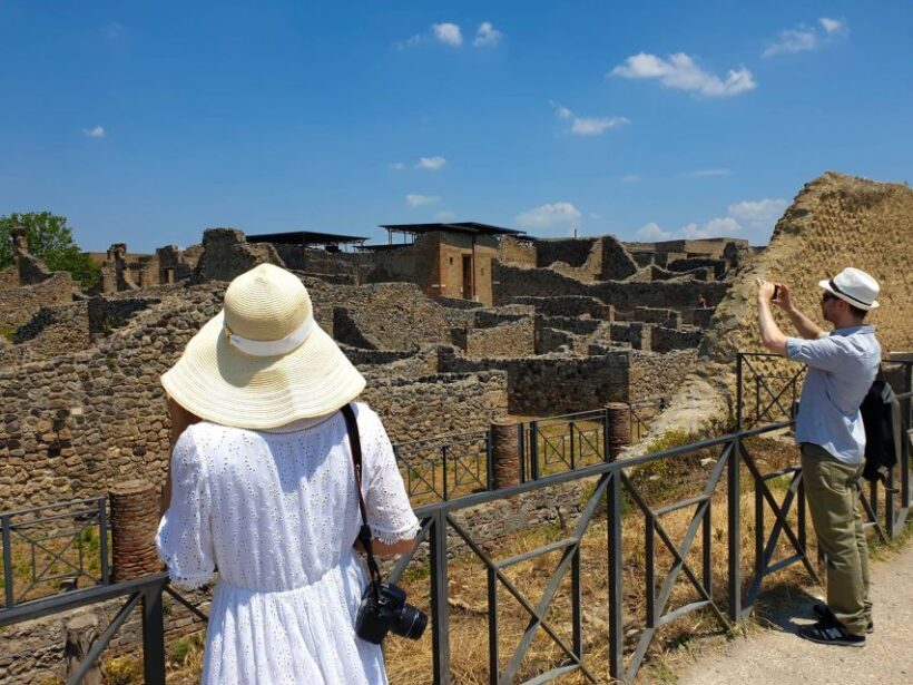 From Sorrento: Skip-the-Line Pompeii Tour and Vineyard Lunch - The Pros and Cons in a Nutshell