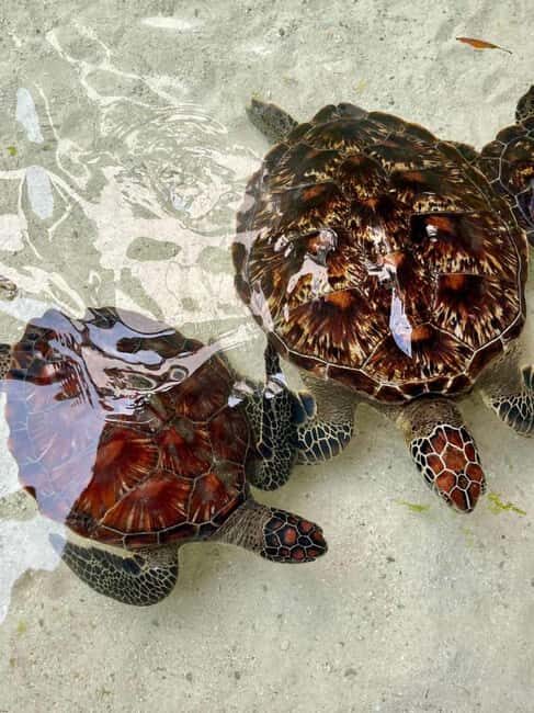 From South Coast. Blue Lagoon, Salaam Cave & Rock - Final Thoughts