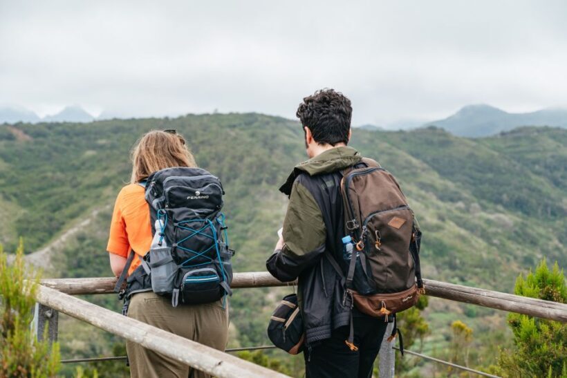 From South Tenerife: La Gomera Island Day Trip with Lunch - Key Points