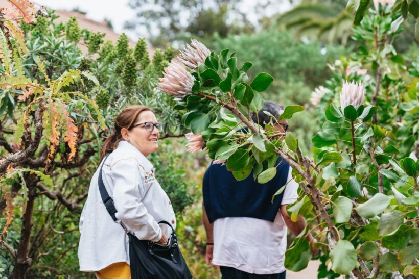 From South Tenerife: La Gomera Island Day Trip with Lunch - Transport & Duration: Why It Matters