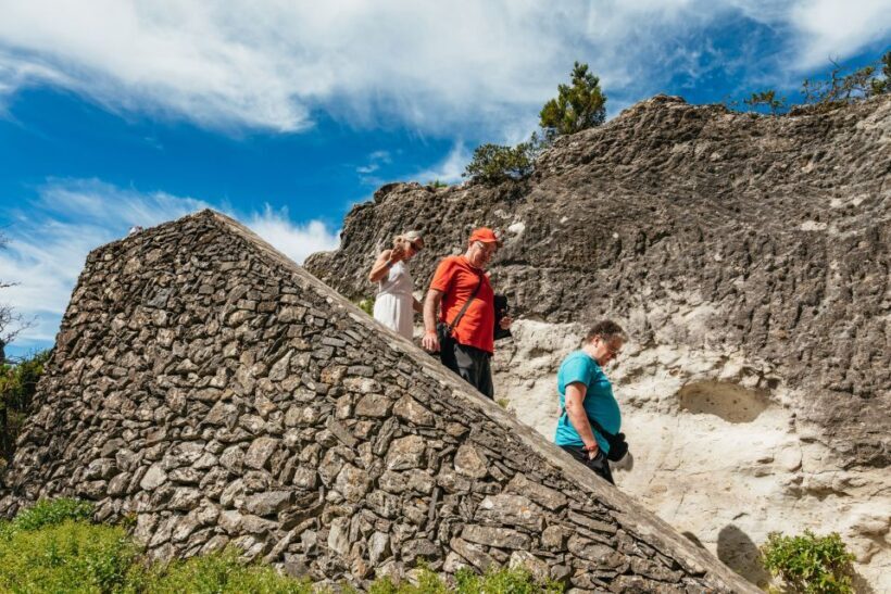 From South Tenerife: La Gomera Island Day Trip with Lunch - Food & Refreshments: A Notable Plus