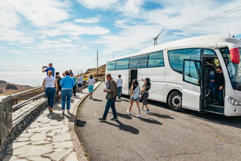 From South Tenerife: La Gomera Island Day Trip with Lunch - Final Thoughts: Who Will Love This Tour?
