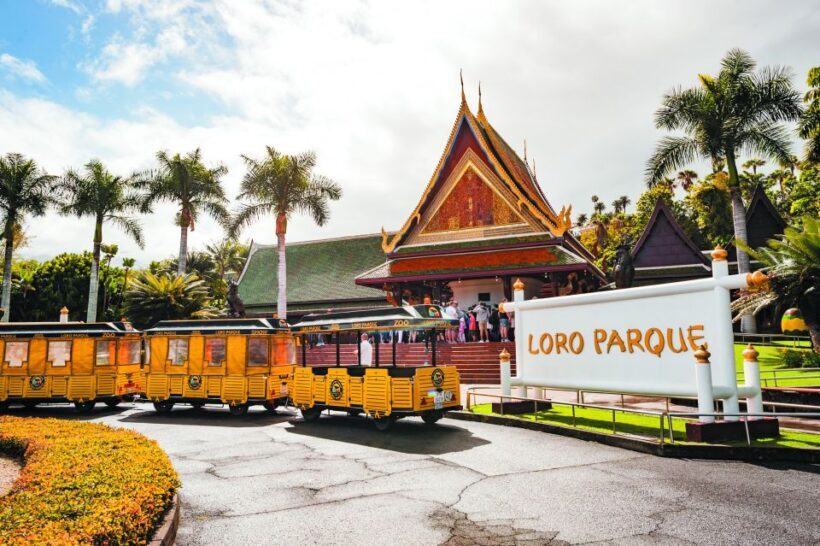 From South Tenerife: Loro Park Zoo Ticket & Hotel Transfers - Key Points