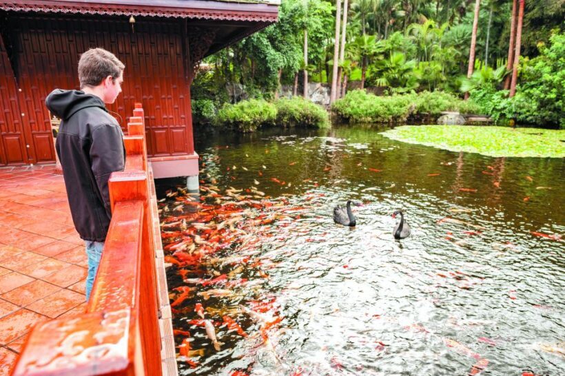 From South Tenerife: Loro Park Zoo Ticket & Hotel Transfers - FAQ