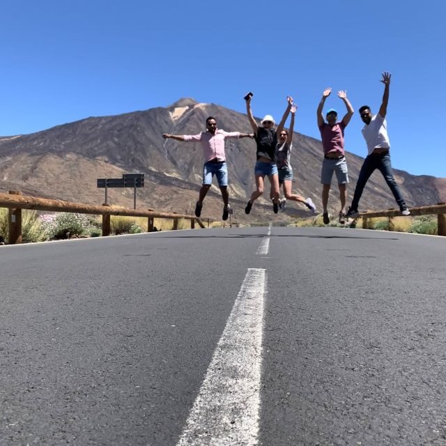 From South Tenerife: Teide National Park Tour - Who Will Love This Tour?