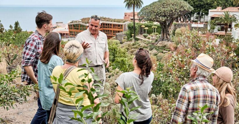 From South Tenerife: VIP Grand Tour Tenerife island - An Overview of the Tour Experience
