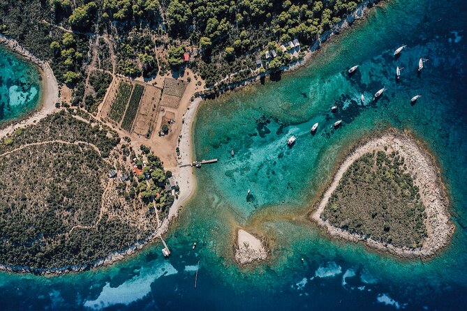 From Split: Blue cave & 5 Islands tour - Authentic Experiences & Real Travelers’ Feedback