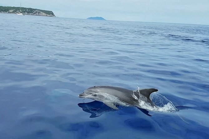 From Split: Half-Day Blue Lagoon and 3 Islands Boat Tour - Meeting and Pickup