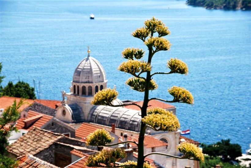 From Split or Trogir: Day-Trip to ibenik and Zadar - Convenient Pickup and Comfortable Transport