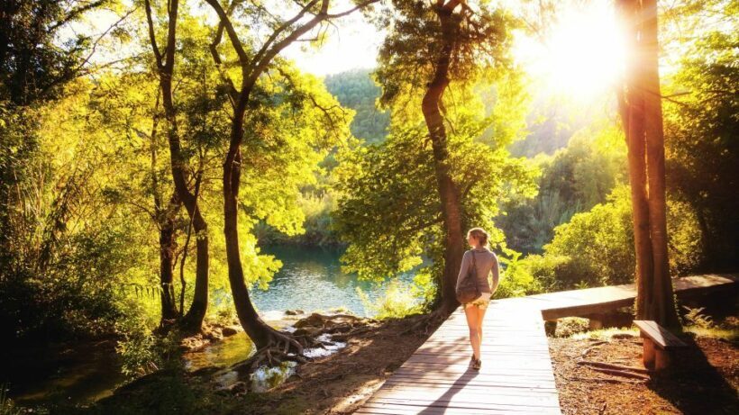 From Split or Trogir: NP Krka Bike Tour & Primoten - Who Should Consider This Tour?