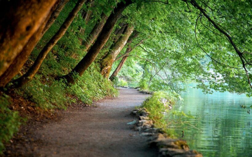 From Split or Trogir: Plitvice Lakes Guided Full-Day Tour - Introduction