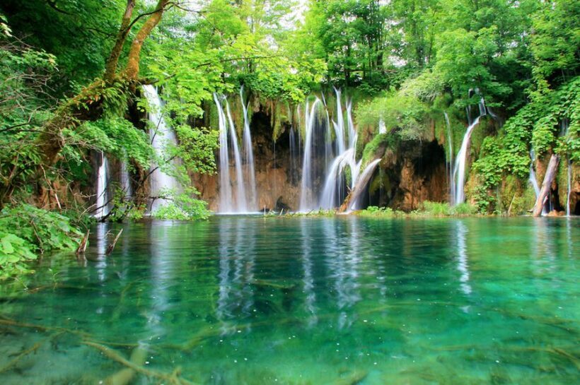 From Split or Trogir: Plitvice Lakes Private Tour - A Detailed Look at the Tour Experience
