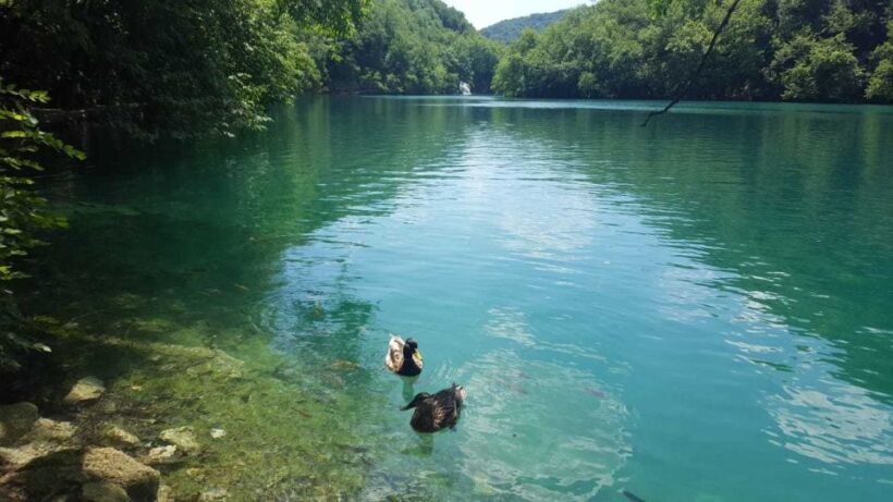 From Split or Trogir: Plitvice Lakes Trip with Entry Ticket - Authentic Experiences and Real Traveler Feedback