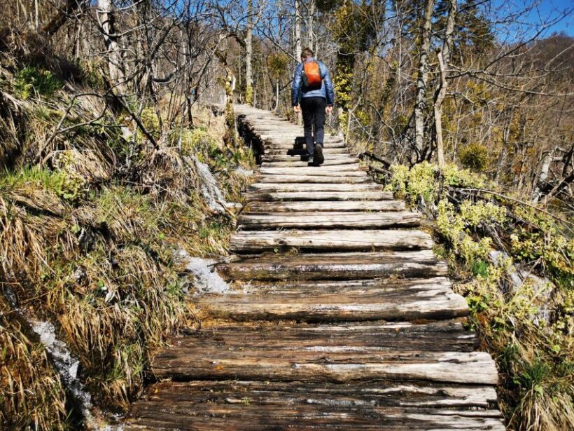 From Split: Plitvice Lakes Full-Day Trip - Authentic Experiences and Real Traveler Feedback