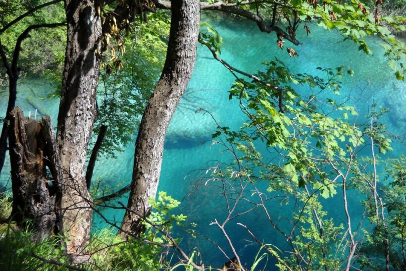 From Split: Plitvice Lakes Fully-Guided Day Tour - The Value Proposition: Is It Worth It?