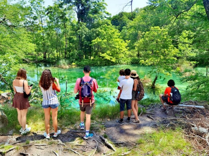 From Split: Plitvice Lakes Guided Tour with Entry Tickets - Walking the Wooden Paths: A Closer Look