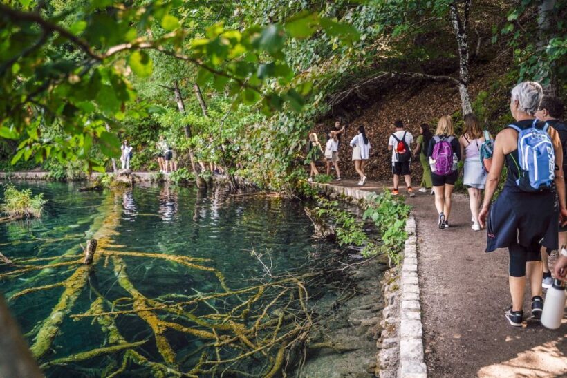 From Split: Plitvice Lakes National Park Guided Tour - An In-Depth Look at the Tour Experience