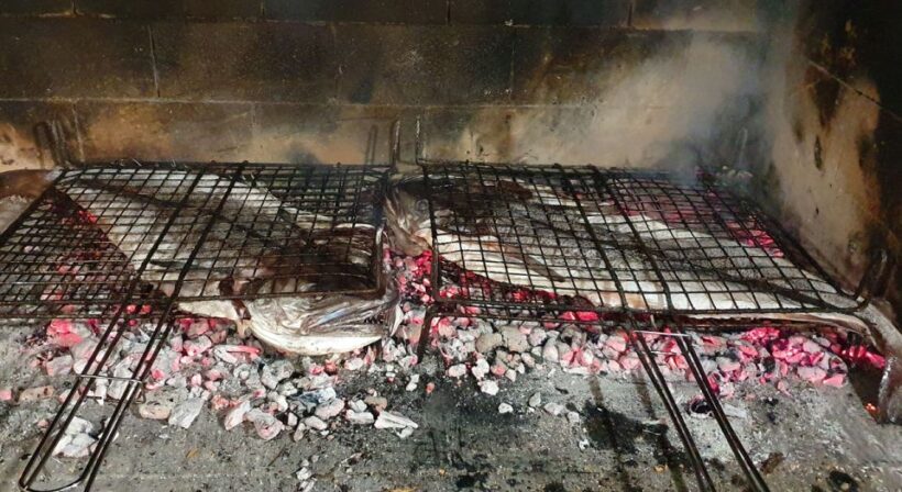 From Split: PRIVATE Deluxe Blue Cave Tour with Grilled Lunch - Value and Price Analysis