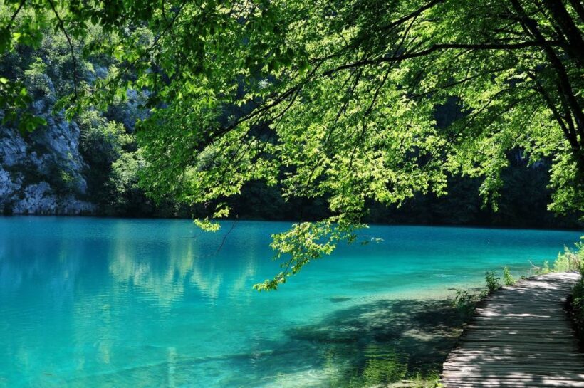 From Split: Private Tour to Plitvice Lakes National Park - Key Points