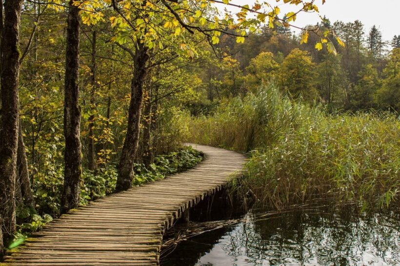 From Split: Private Tour to Plitvice Lakes National Park - The Sum Up