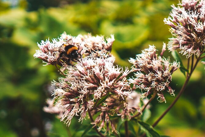 From Split: Self-Guided Plitvice Lakes Day Tour With Boat Ride - Customer Reviews and Feedback
