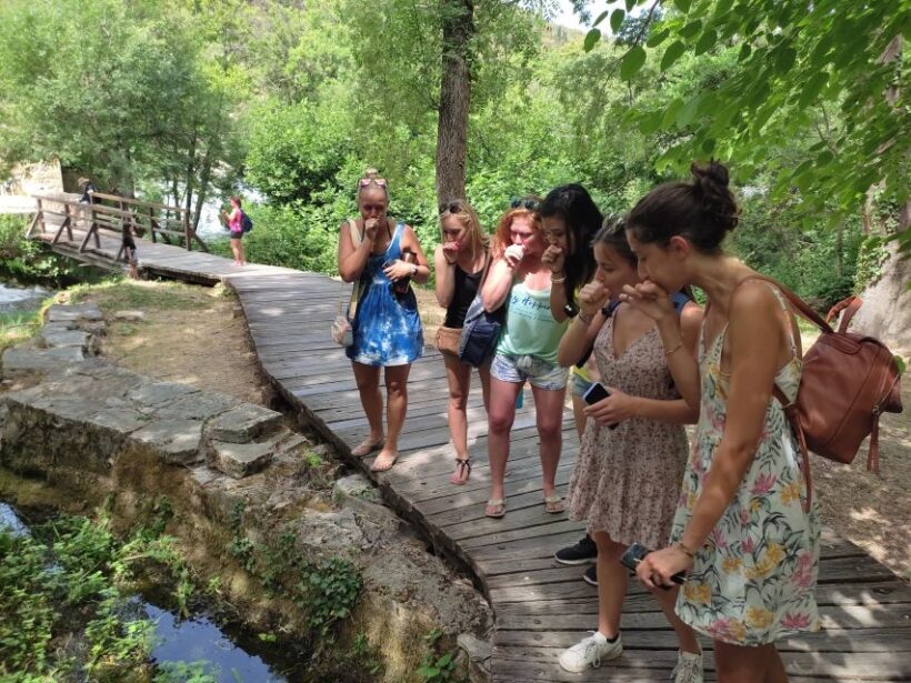 From Split & Trogir: Krka Waterfalls Day Tour with Boat Ride - The Sum Up: Who Is This Tour For?