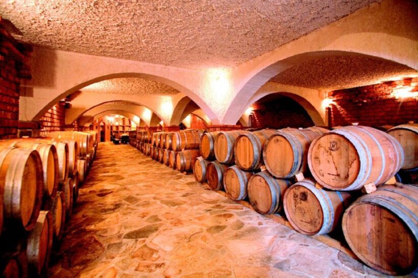 From Split & Trogir: Peljeac Peninsula Food & Wine Tour - Key Points