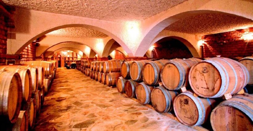 From Split & Trogir: Peljeac Peninsula Food & Wine Tour - The Itinerary Breakdown and What to Expect