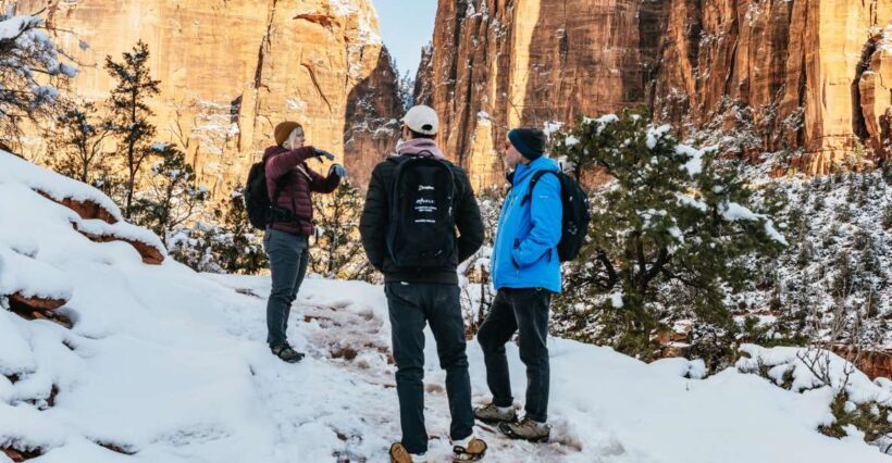 From Springdale: 4-hour Zion Canyon Scenic Hiking Tour - An Honest Look at the Zion Canyon Scenic Hiking Tour