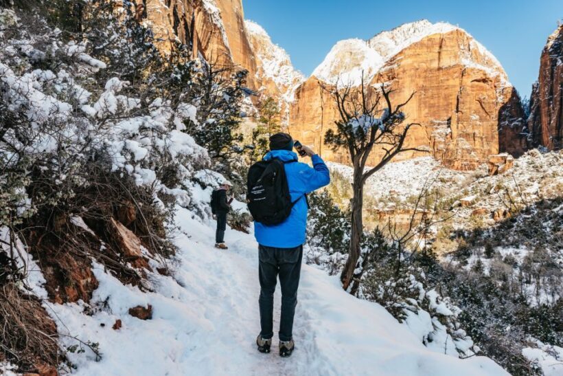 From Springdale: 4-hour Zion Canyon Scenic Hiking Tour - Authentic Reviews: What Real Travelers Say
