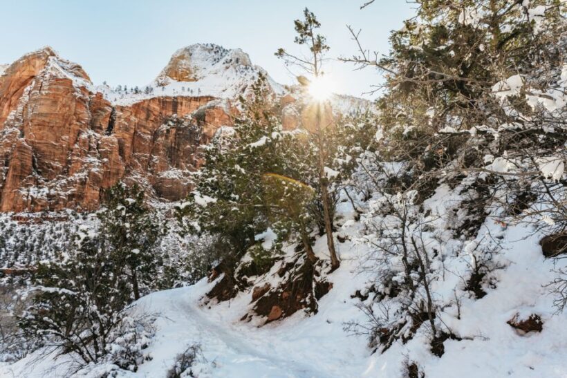 From Springdale: 4-hour Zion Canyon Scenic Hiking Tour - Final Thoughts: Is This Tour for You?