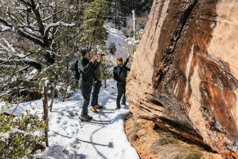 From Springdale: 4-hour Zion Canyon Scenic Hiking Tour - FAQs