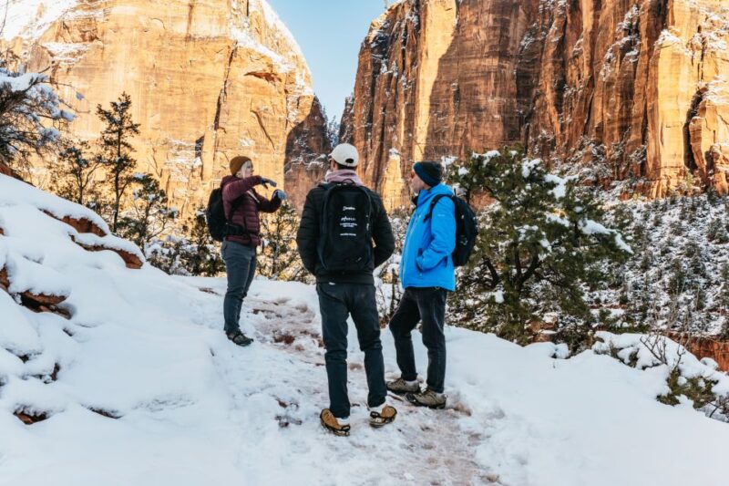 From Springdale: 4-hour Zion Canyon Scenic Hiking Tour - Value and Cost Analysis