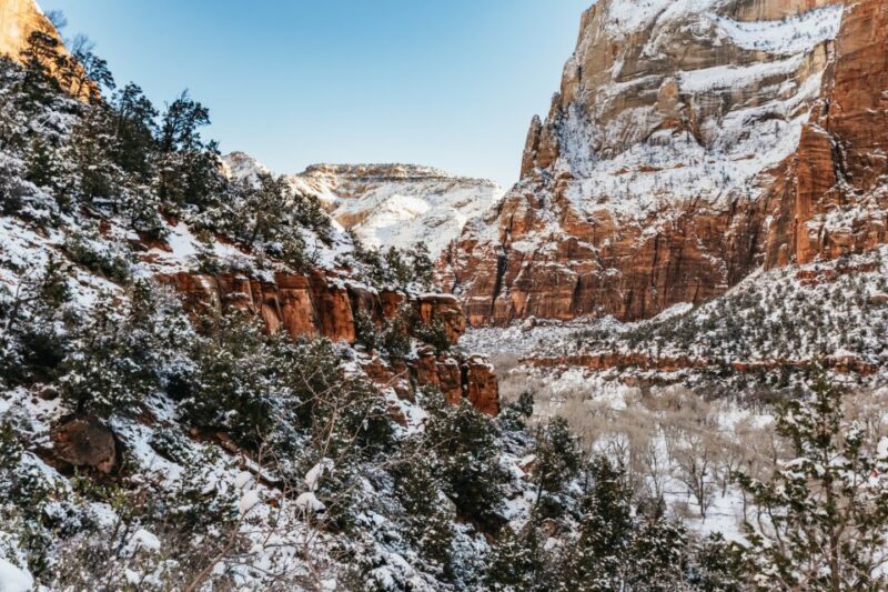 From Springdale: 4-hour Zion Canyon Scenic Hiking Tour - Final Thoughts: Is This Tour Right for You?