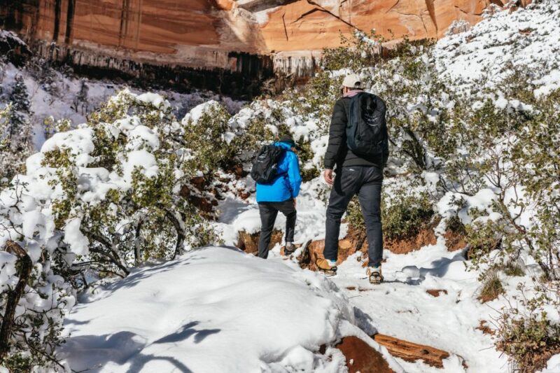 From Springdale: 4-hour Zion Canyon Scenic Hiking Tour - FAQs