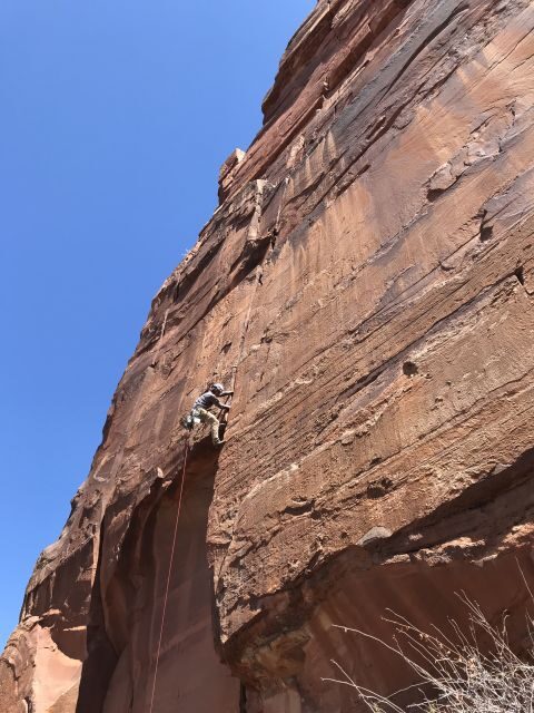 From Springdale: Half-Day Rock Climbing Experience - An Authentic Rock Climbing Adventure Near Zion