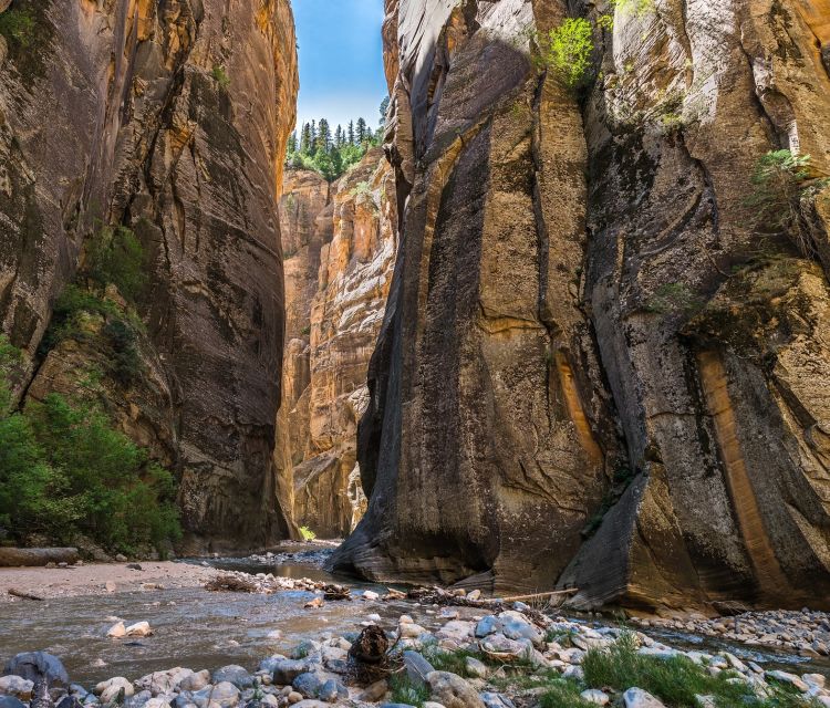 From Springdale: The Zion Narrows Hike with Lunch - The Itinerary: What You’ll Experience