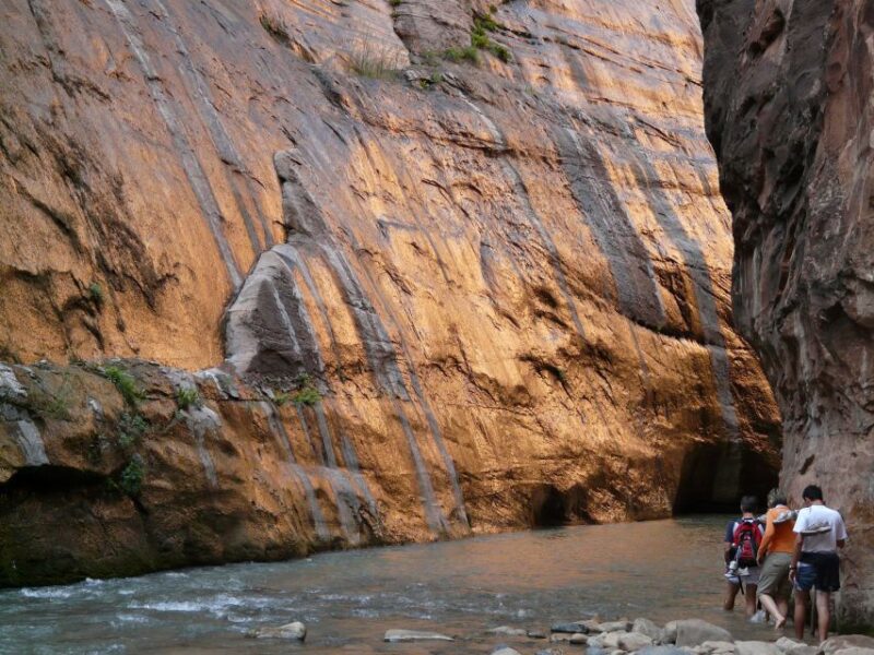 From Springdale: The Zion Narrows Hike with Lunch - What’s Included and What to Bring